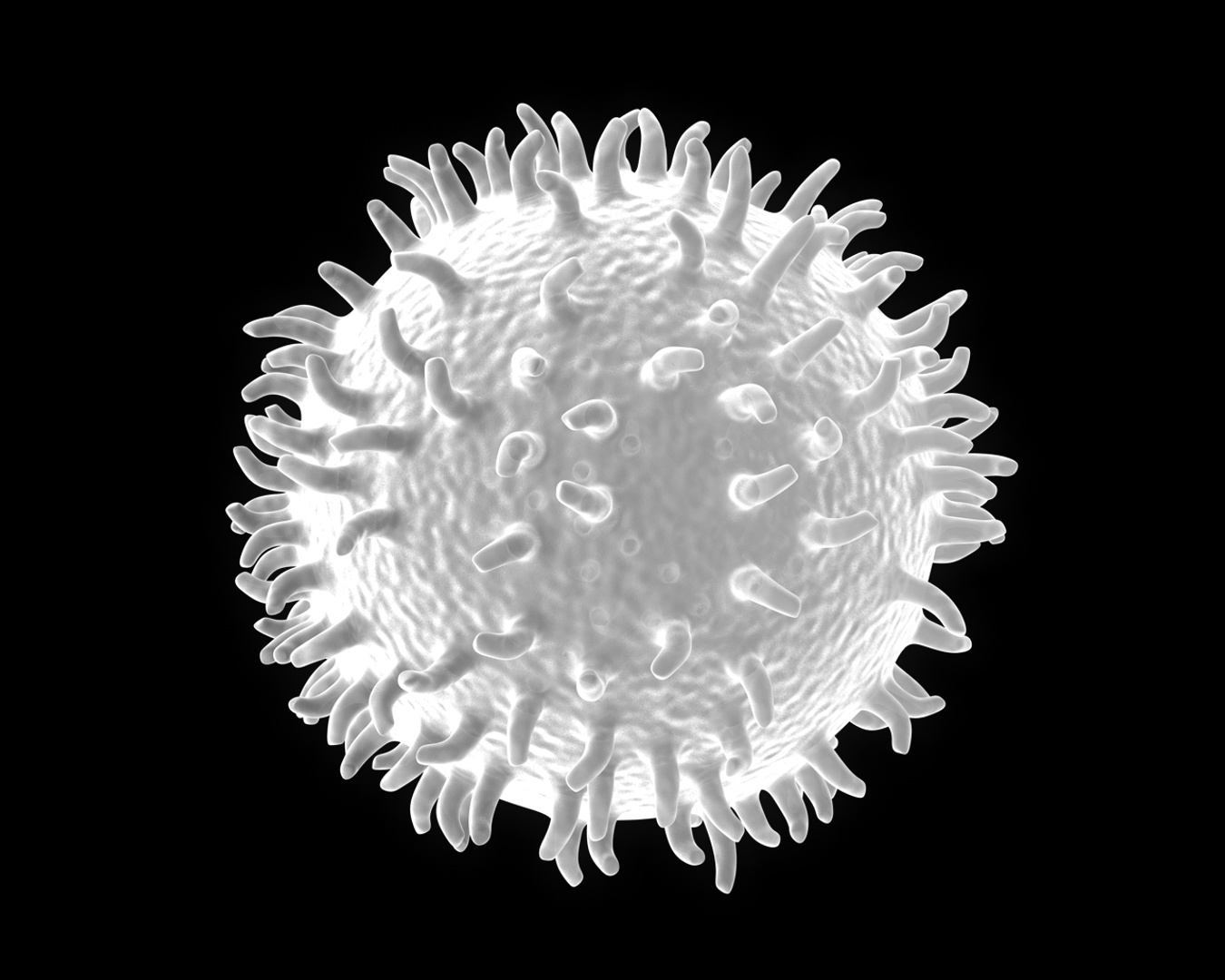 lymphocyte 3d model