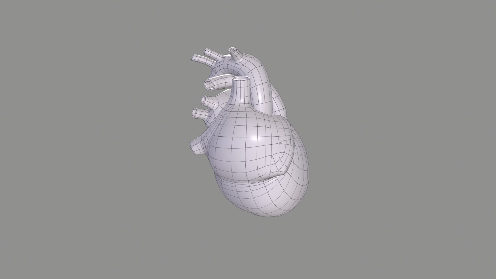 3D Human Heart-full And Half - TurboSquid 2011312