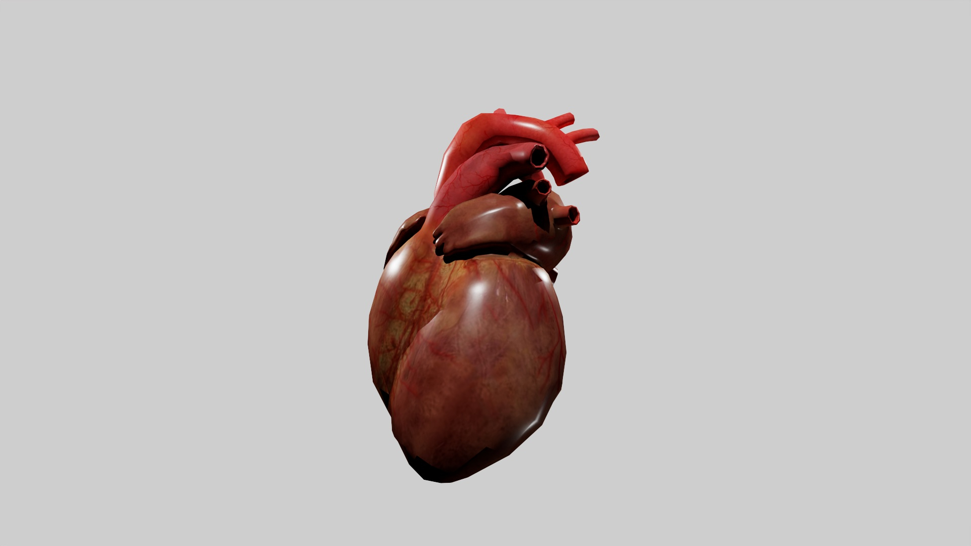 3D Human Heart-full And Half - TurboSquid 2011312