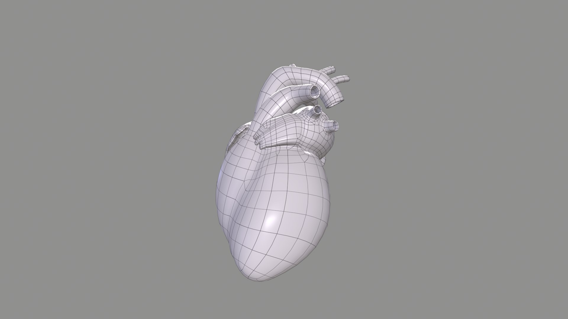 3D Human Heart-full And Half - TurboSquid 2011312