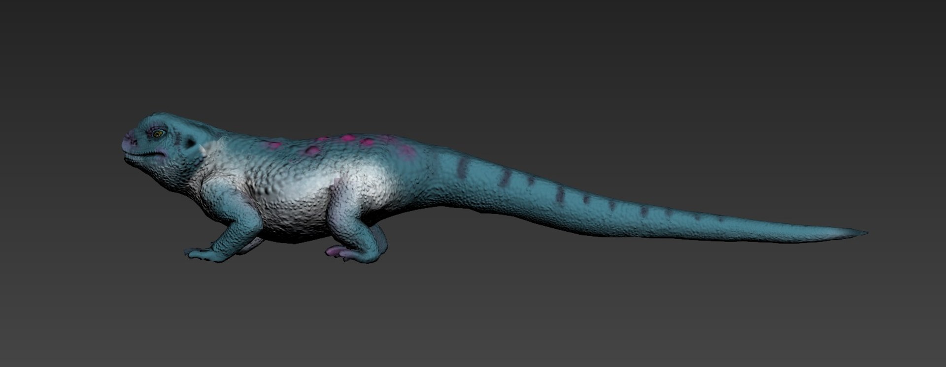 Dragon Bearded Lizard 3D Model - TurboSquid 1415215