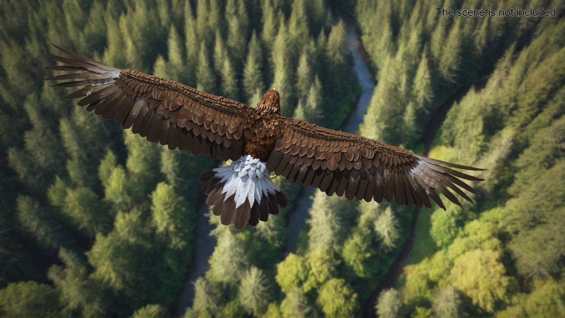 3D Model Realistic Golden Eagle T Pose - TurboSquid 2250019