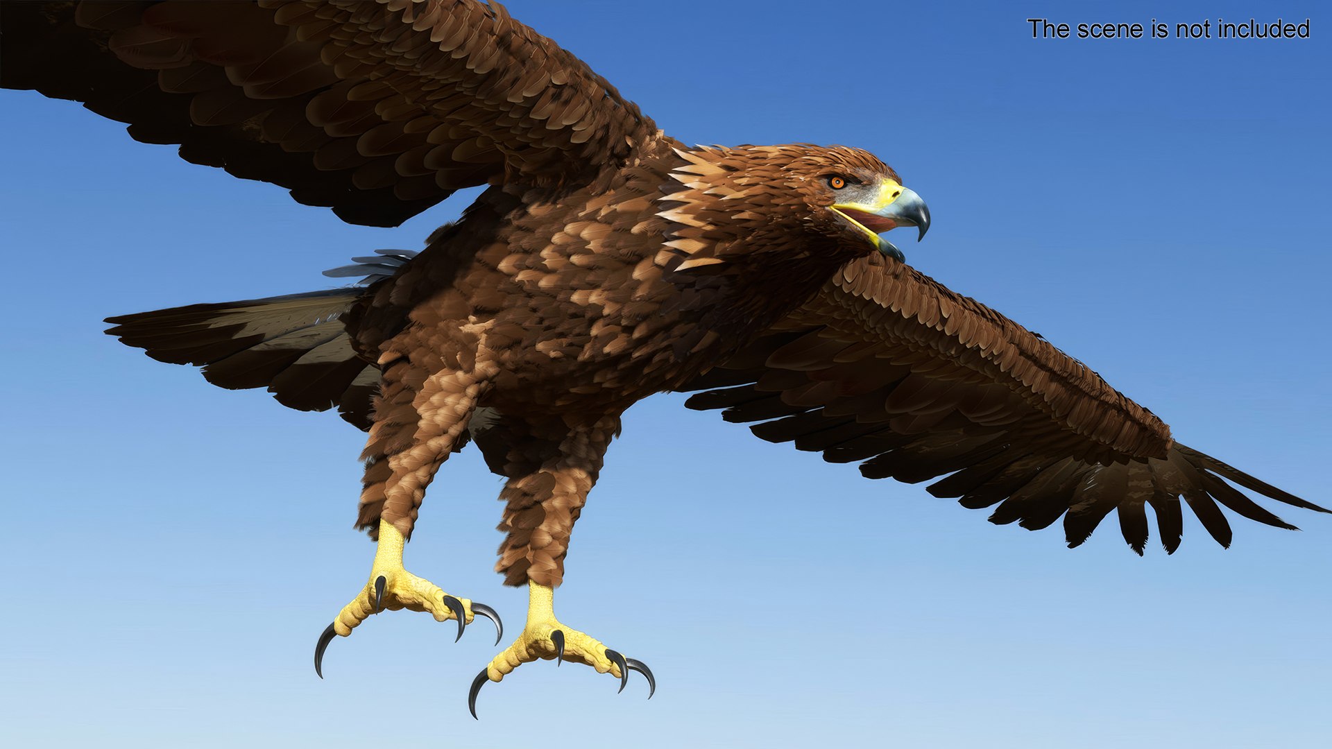 3D Model Realistic Golden Eagle T Pose - TurboSquid 2250019