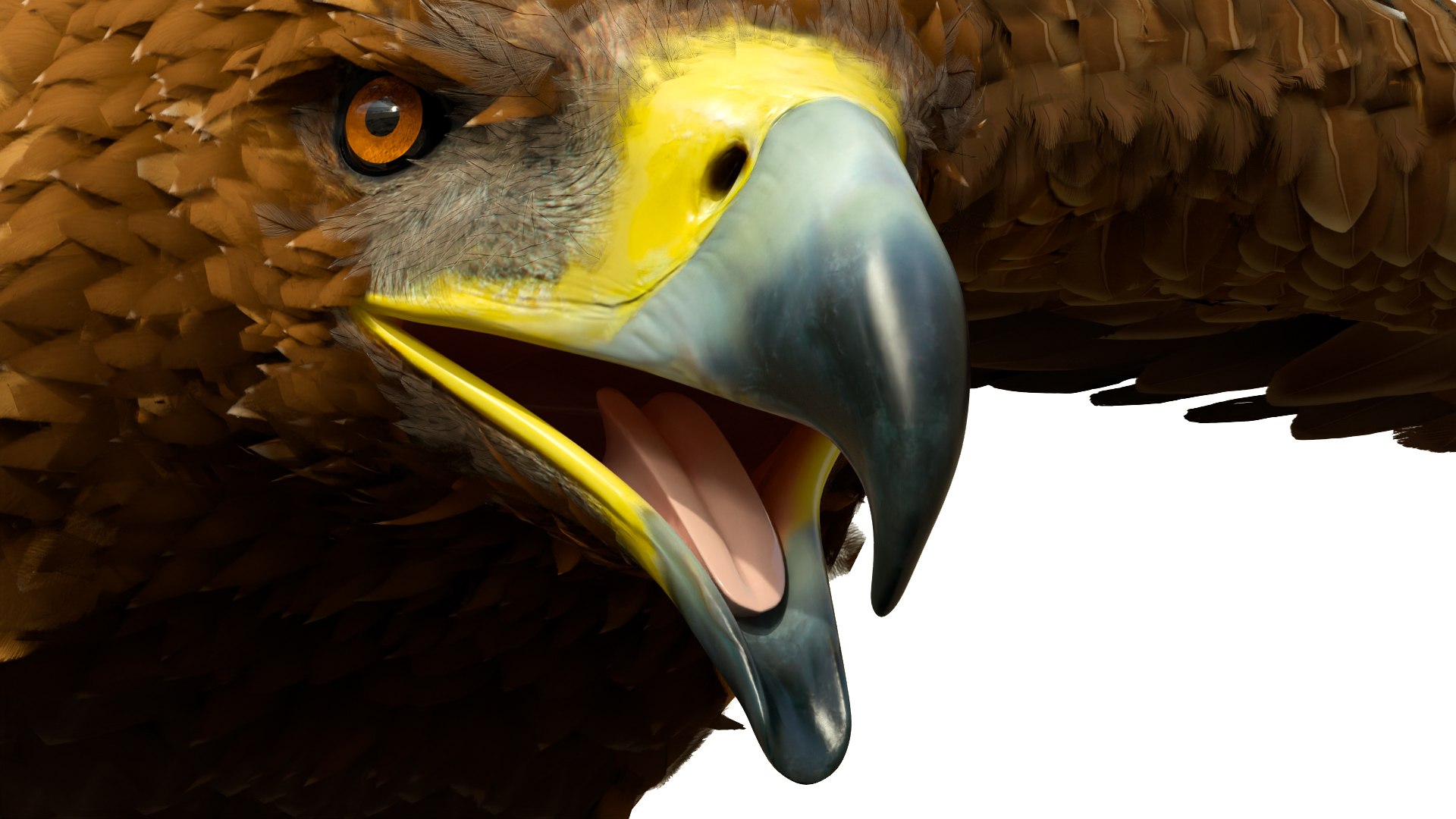 3D Model Realistic Golden Eagle T Pose - TurboSquid 2250019