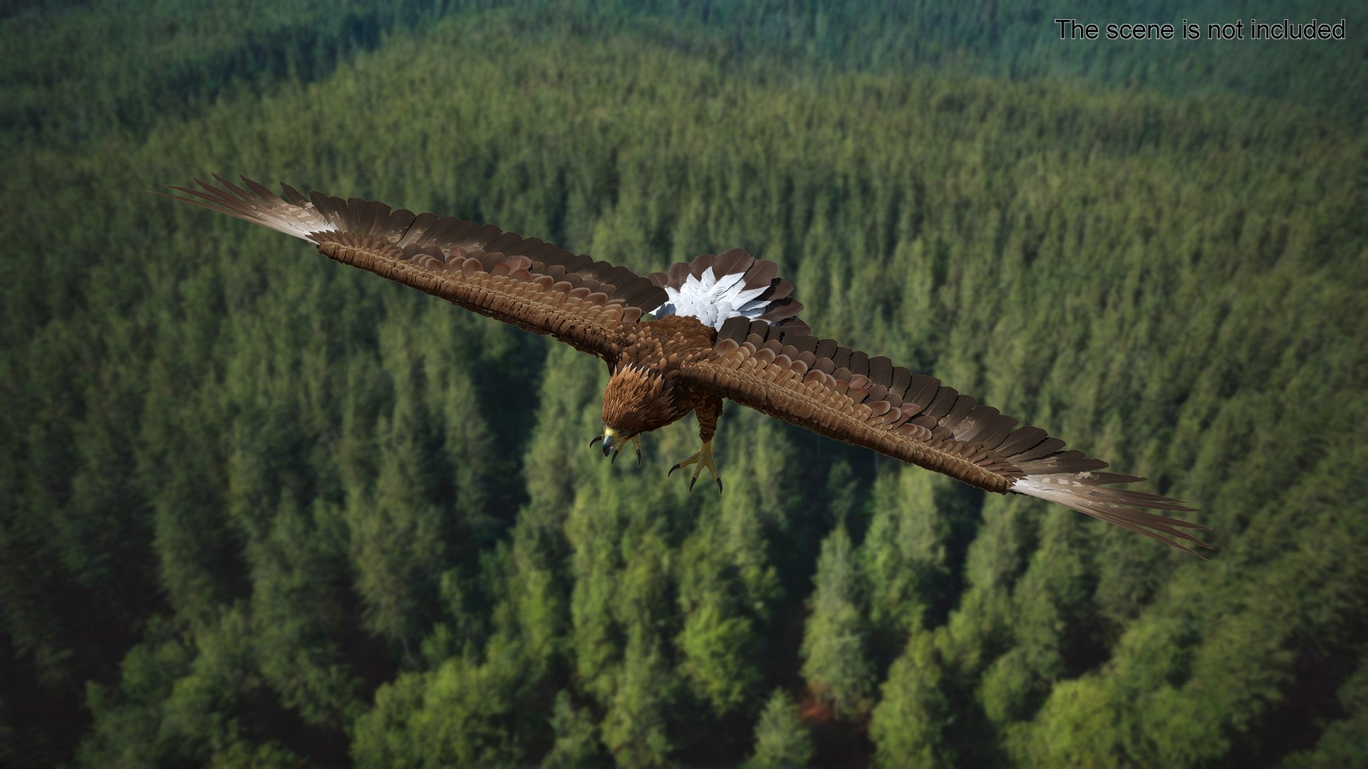 3D Model Realistic Golden Eagle T Pose - TurboSquid 2250019