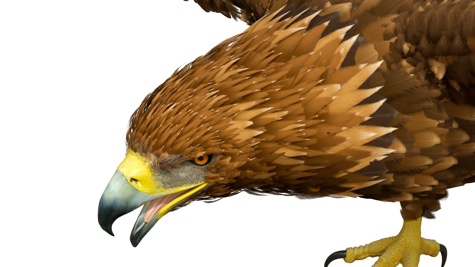 3D Model Realistic Golden Eagle T Pose - TurboSquid 2250019