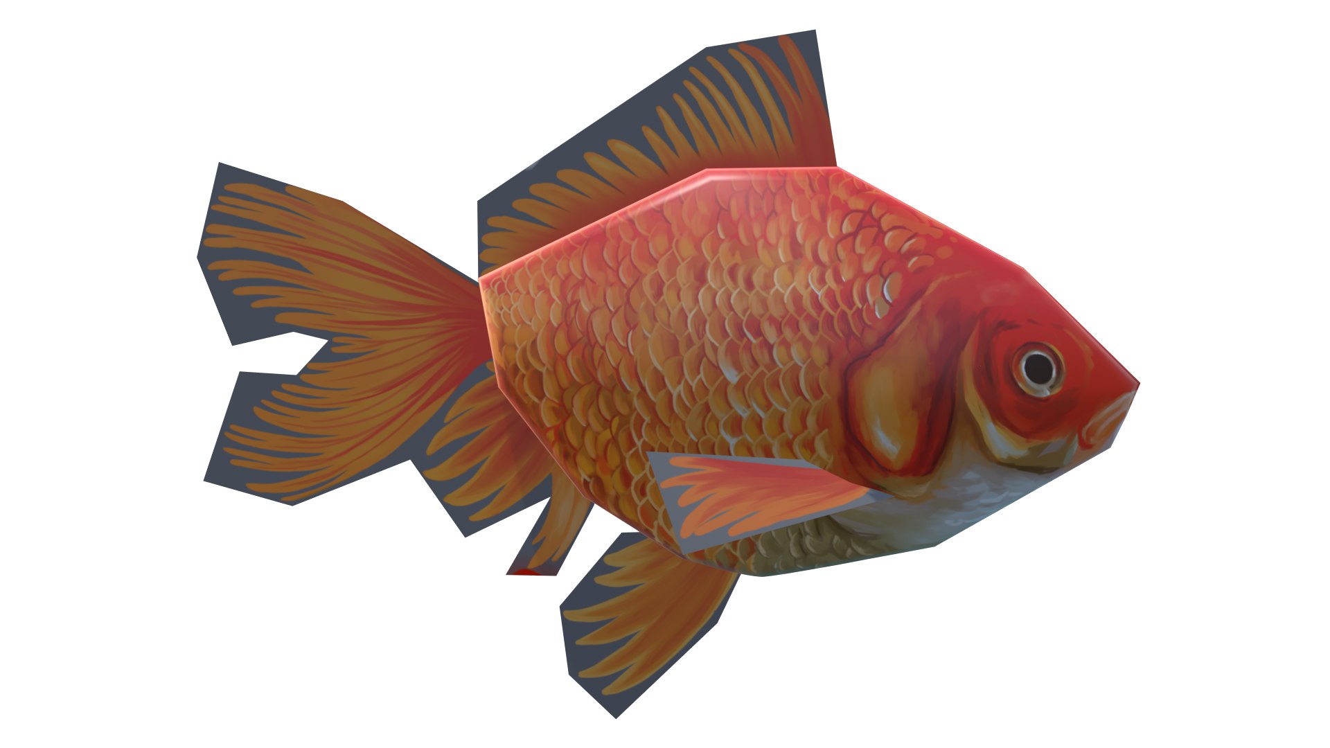 3D Common Goldfish 3D Model - TurboSquid 2313570