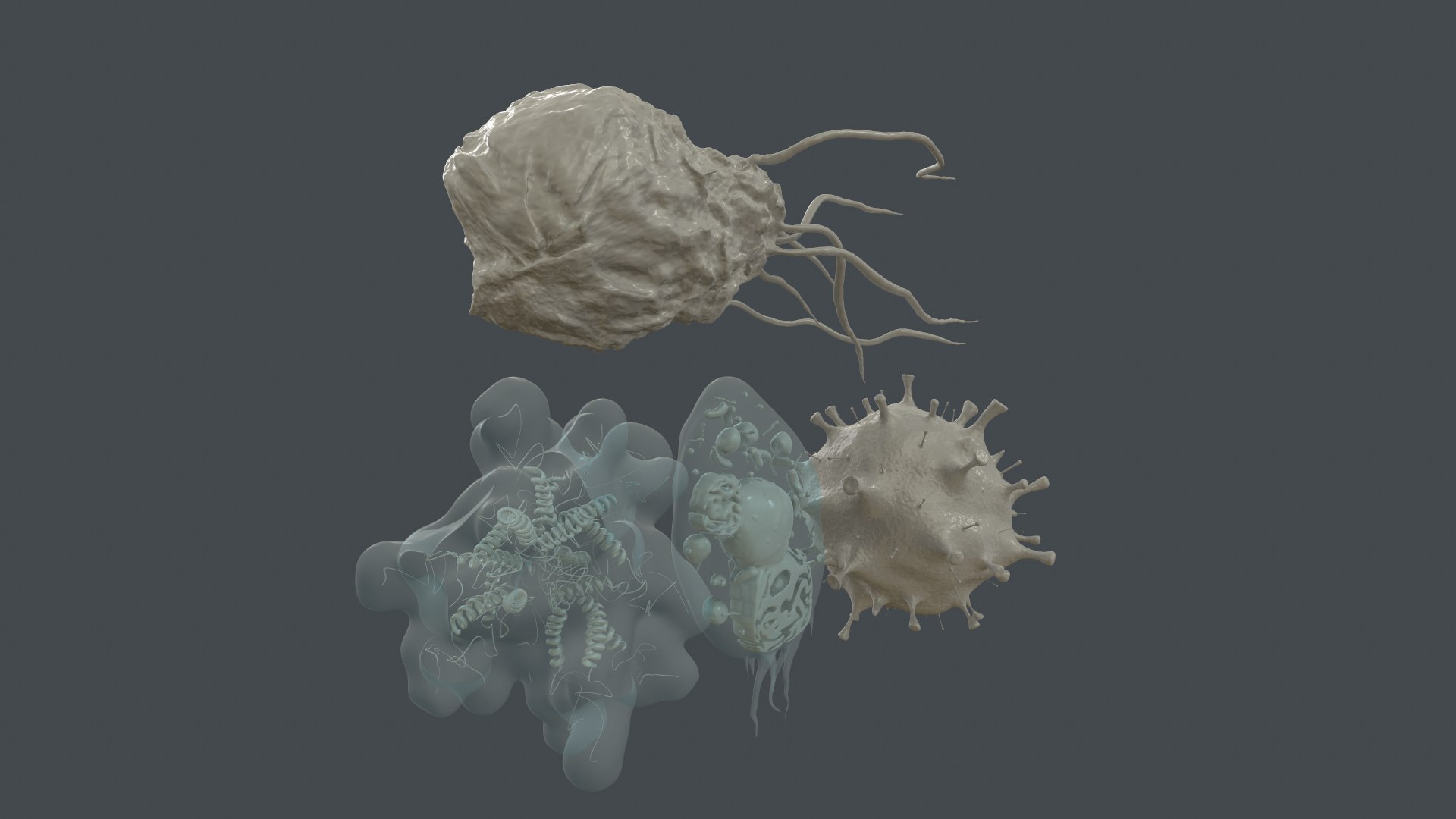 3D model virus anatomy - TurboSquid 1516971
