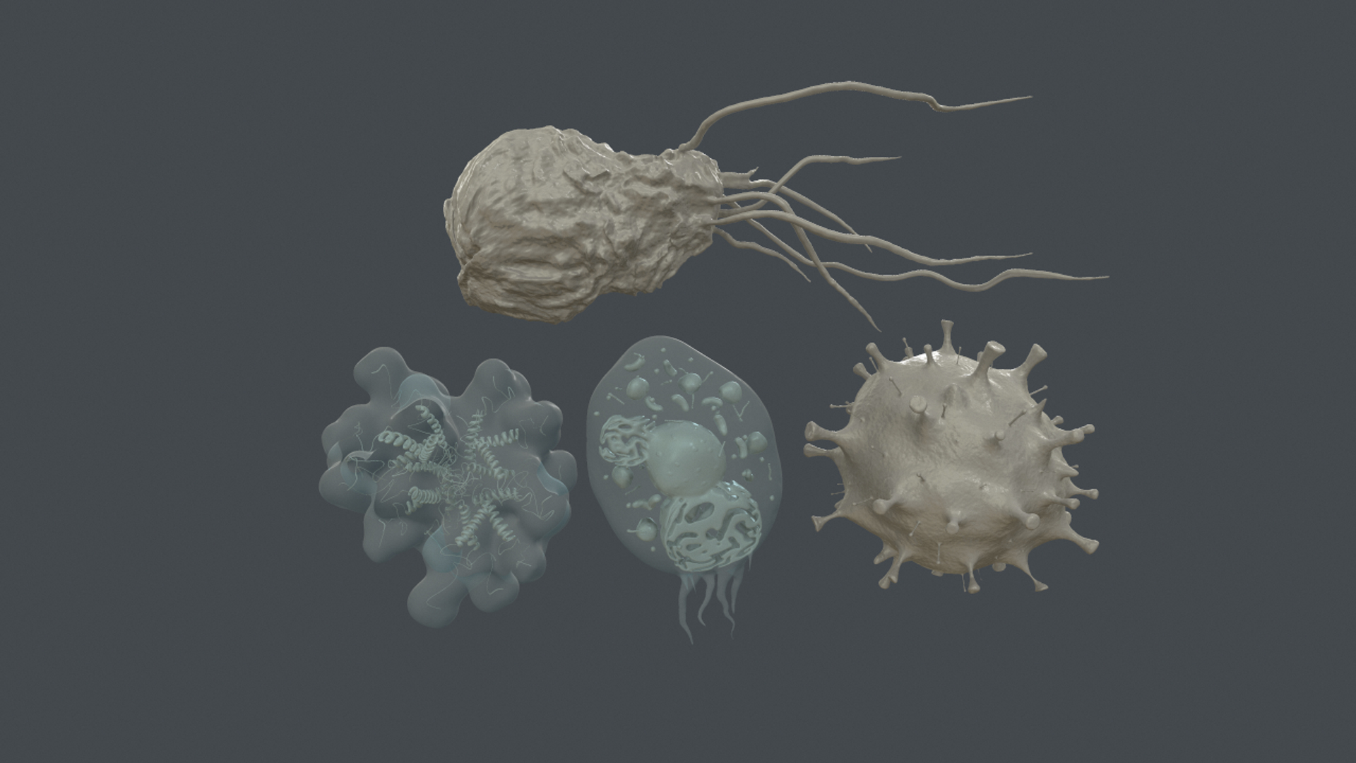 3D model virus anatomy - TurboSquid 1516971
