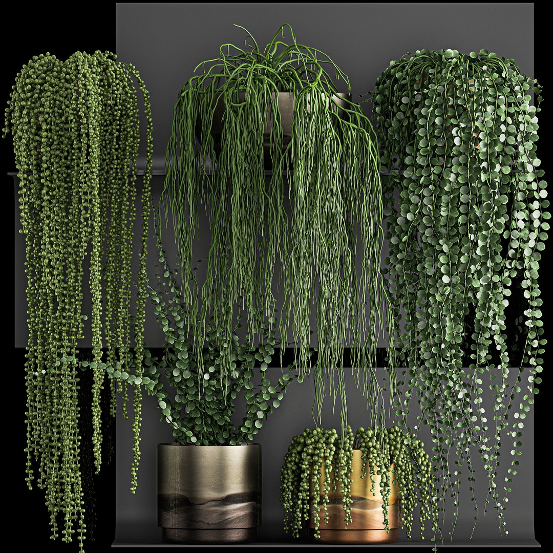 Vertical Gardening Wall Shelves 3D Model - TurboSquid 1558766