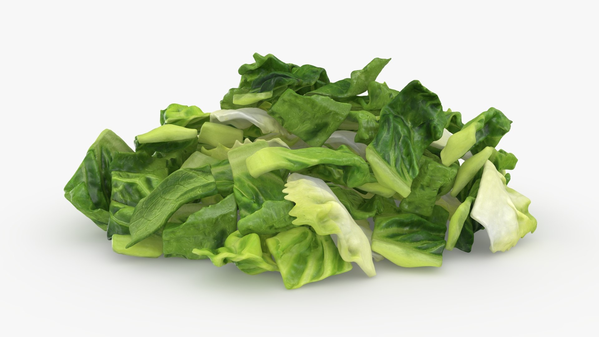 Pile Chopped Fresh Lettuce 3D Model - TurboSquid 2398988