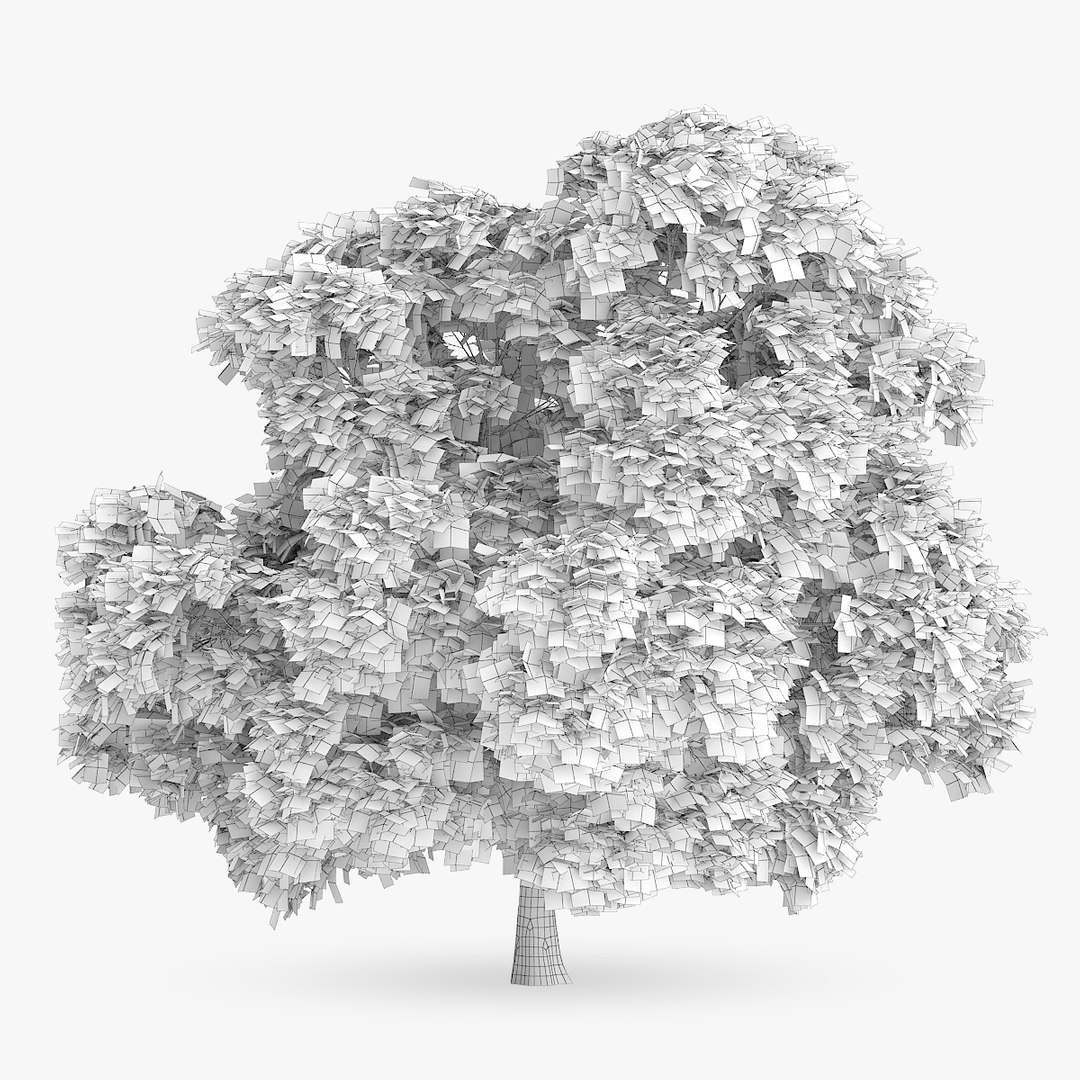 3d Model Sweet Chestnut 10