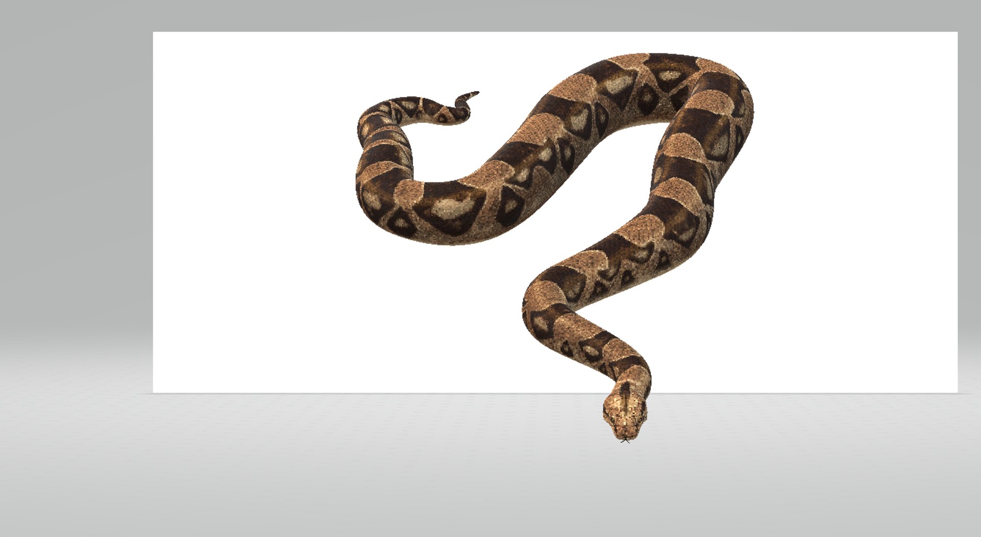 Snakes Model - TurboSquid 1236179