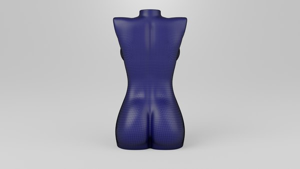 Female torso 1 3D model - TurboSquid 1797022