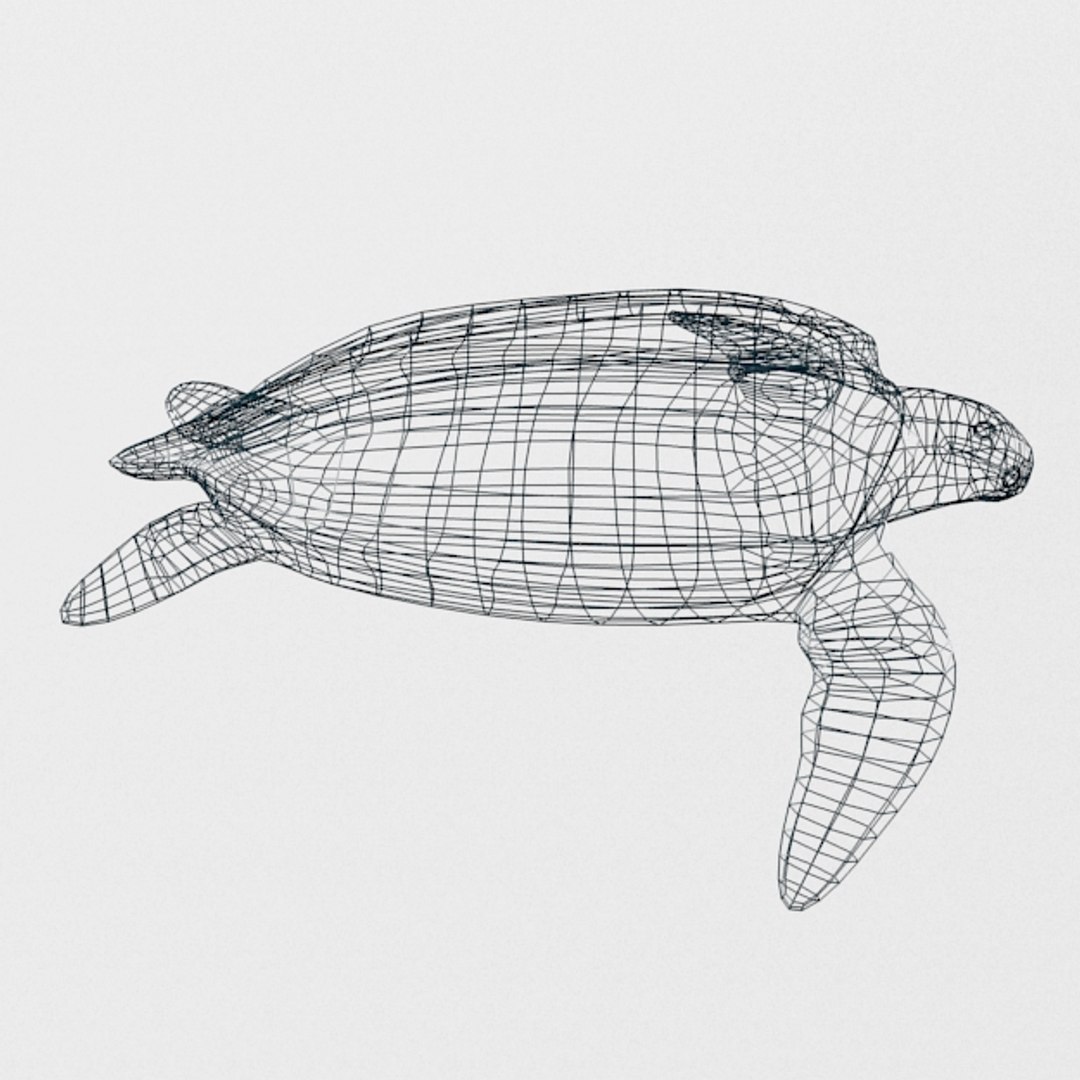Leatherback Turtle Model - TurboSquid 1364339