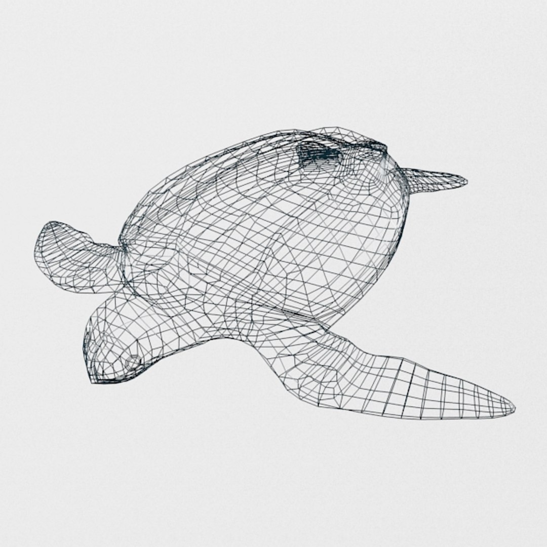 Leatherback Turtle Model - TurboSquid 1364339