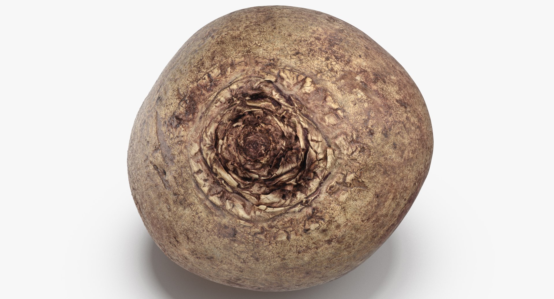 Beetroot Beet Root 3D Model - TurboSquid 1395738