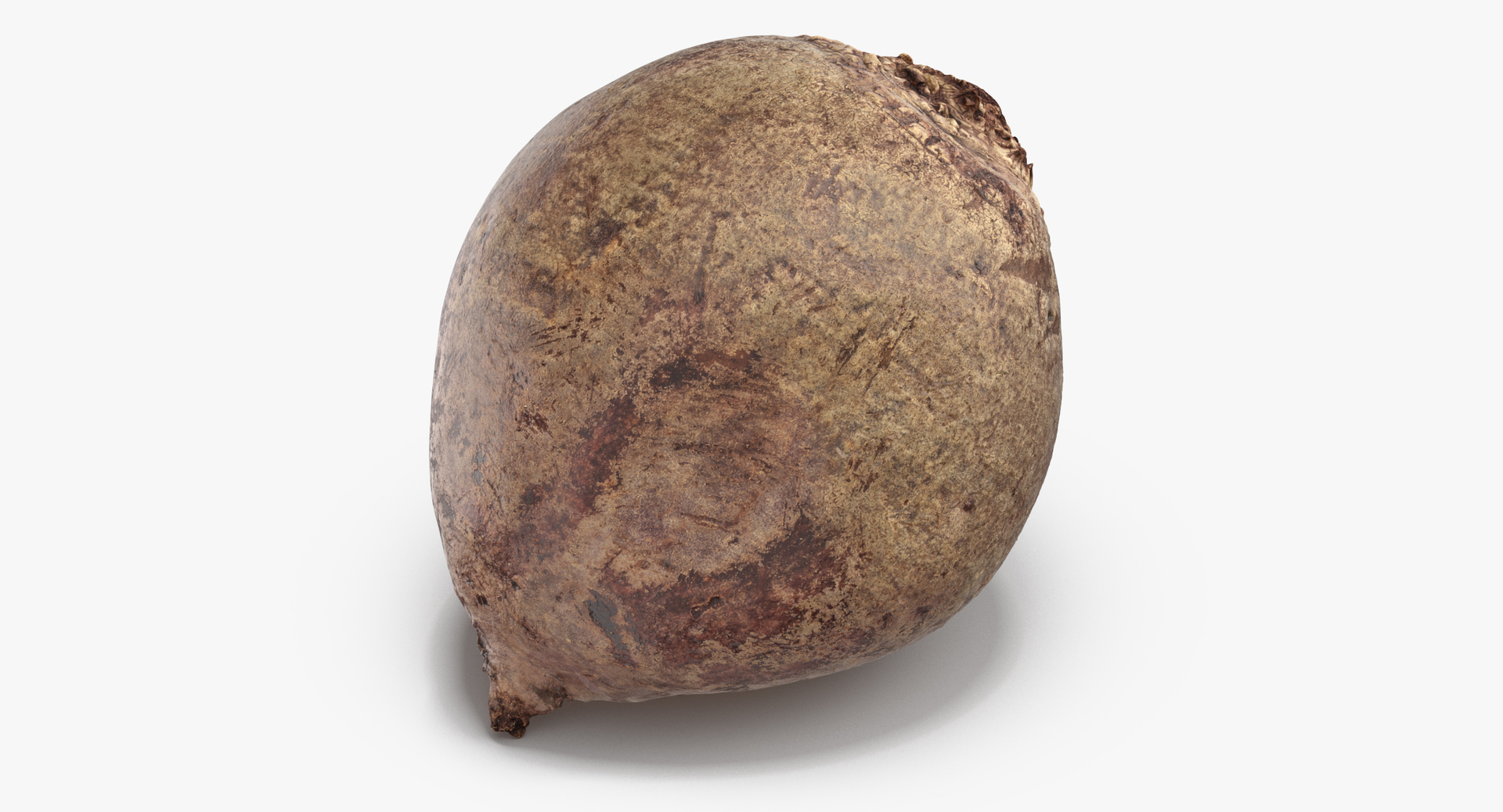 Beetroot Beet Root 3D Model - TurboSquid 1395738