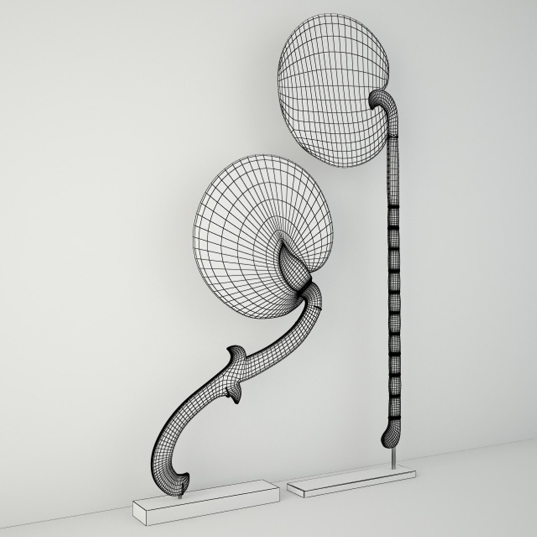 3D Model Burmese Fans - TurboSquid 1203002