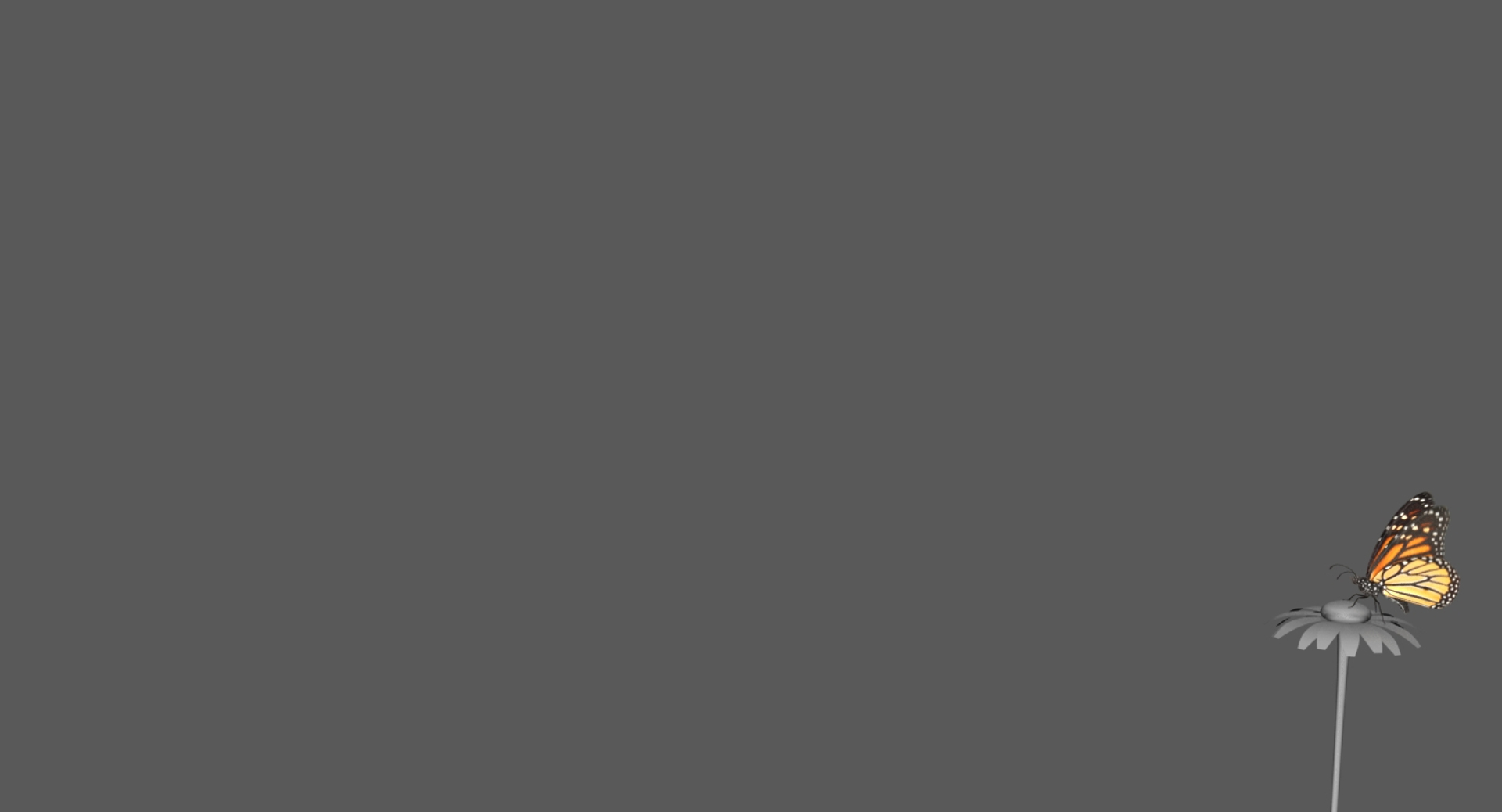 Monarch Butterfly Animation Flying Model - TurboSquid 1383924