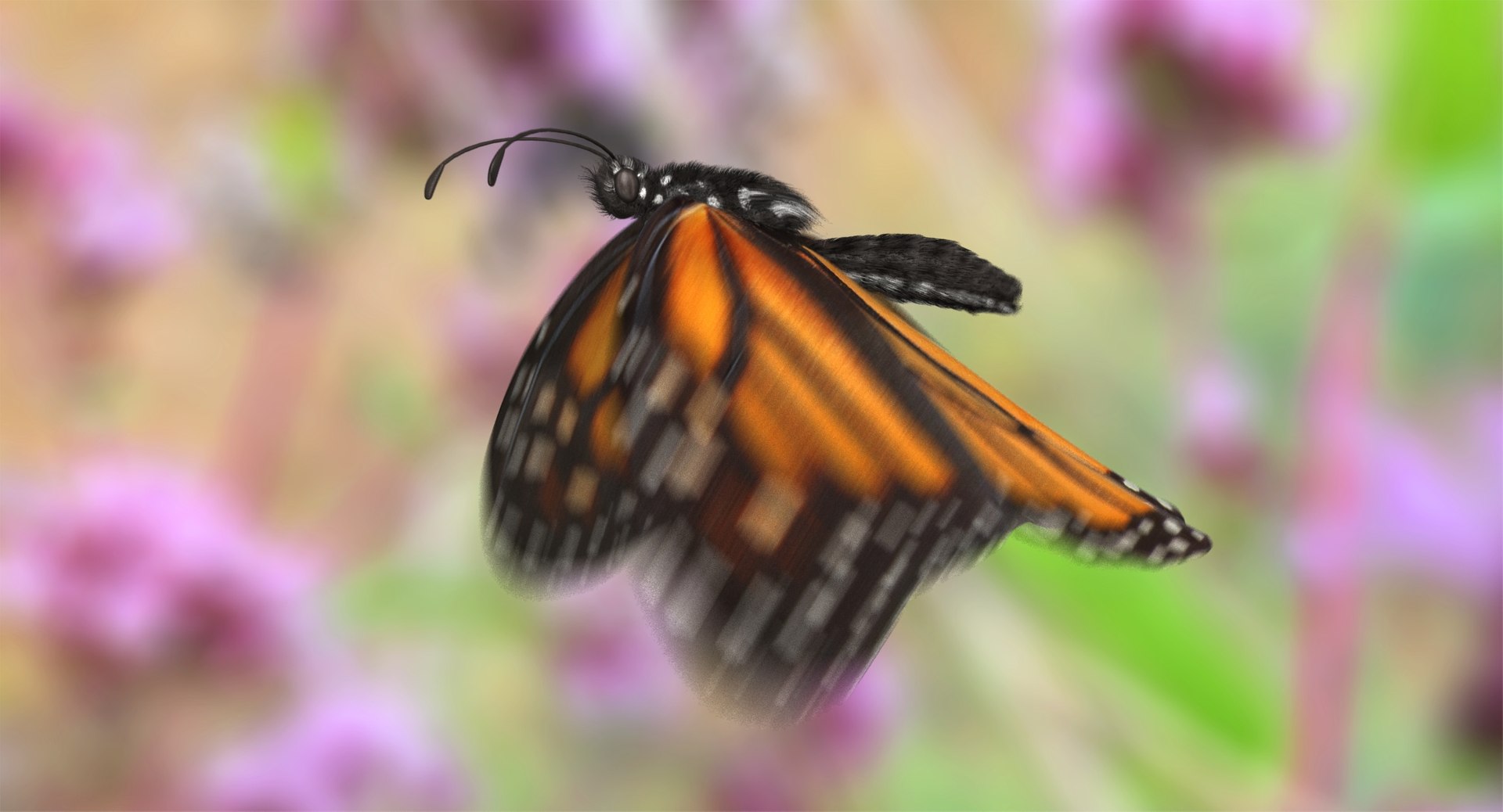 Monarch butterfly animation flying model - TurboSquid 1383924