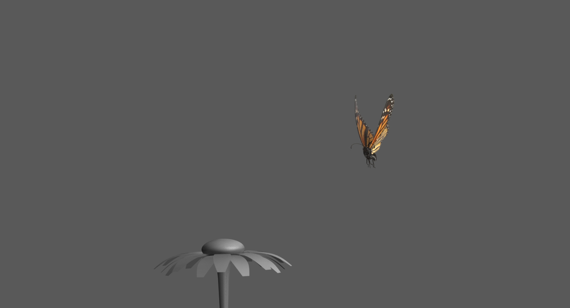 Monarch Butterfly Animation Flying Model - TurboSquid 1383924