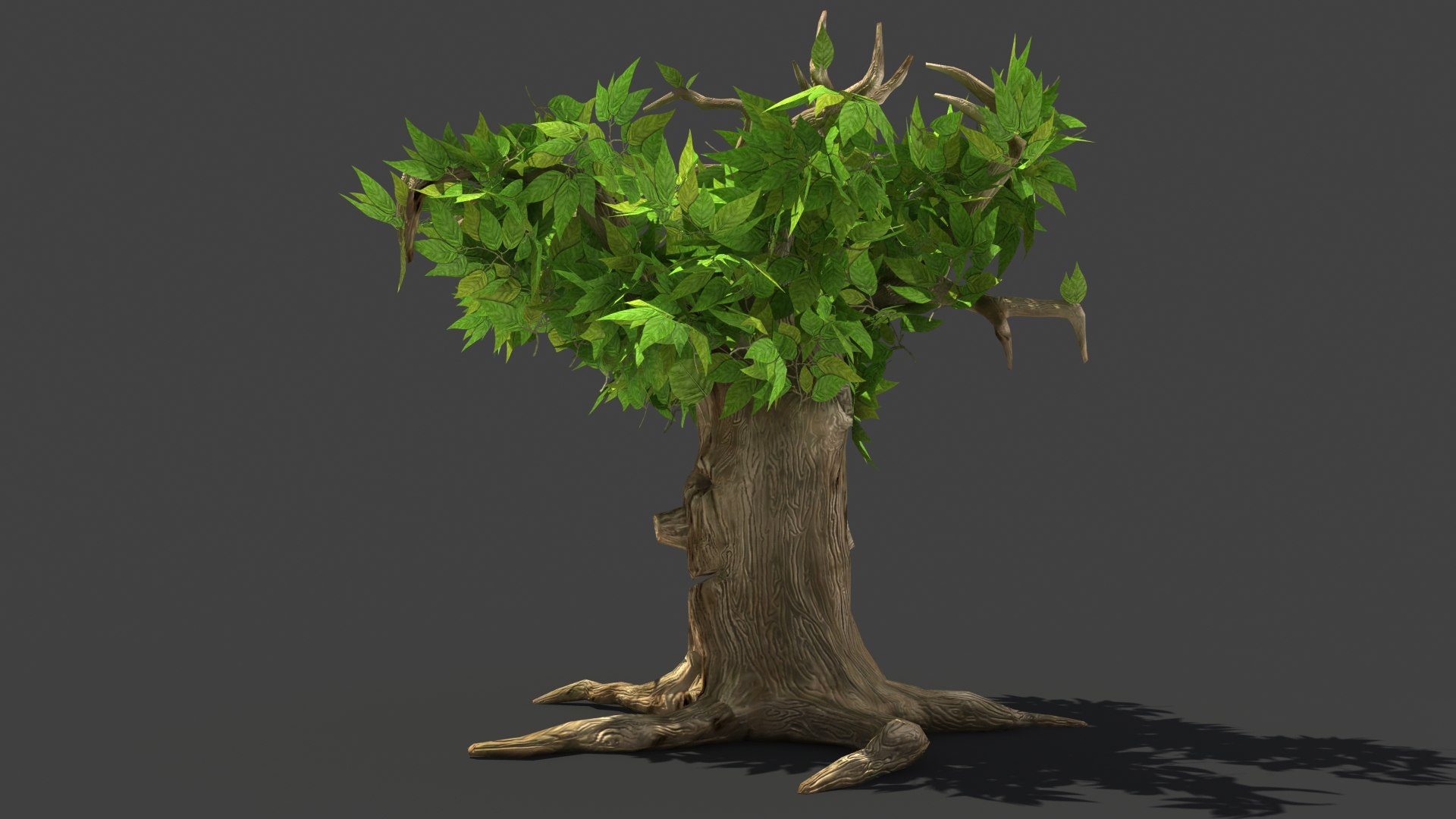 3d Enchanted Tree Model