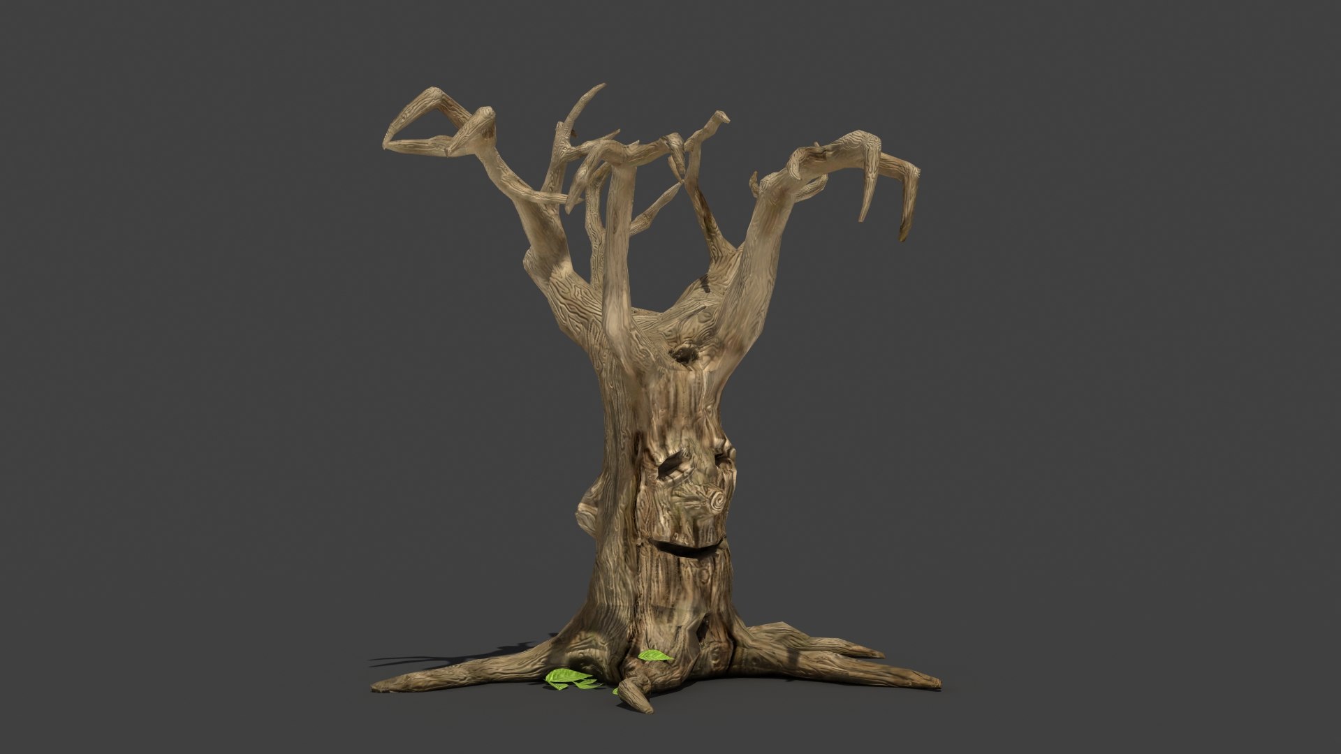 3d Enchanted Tree Model