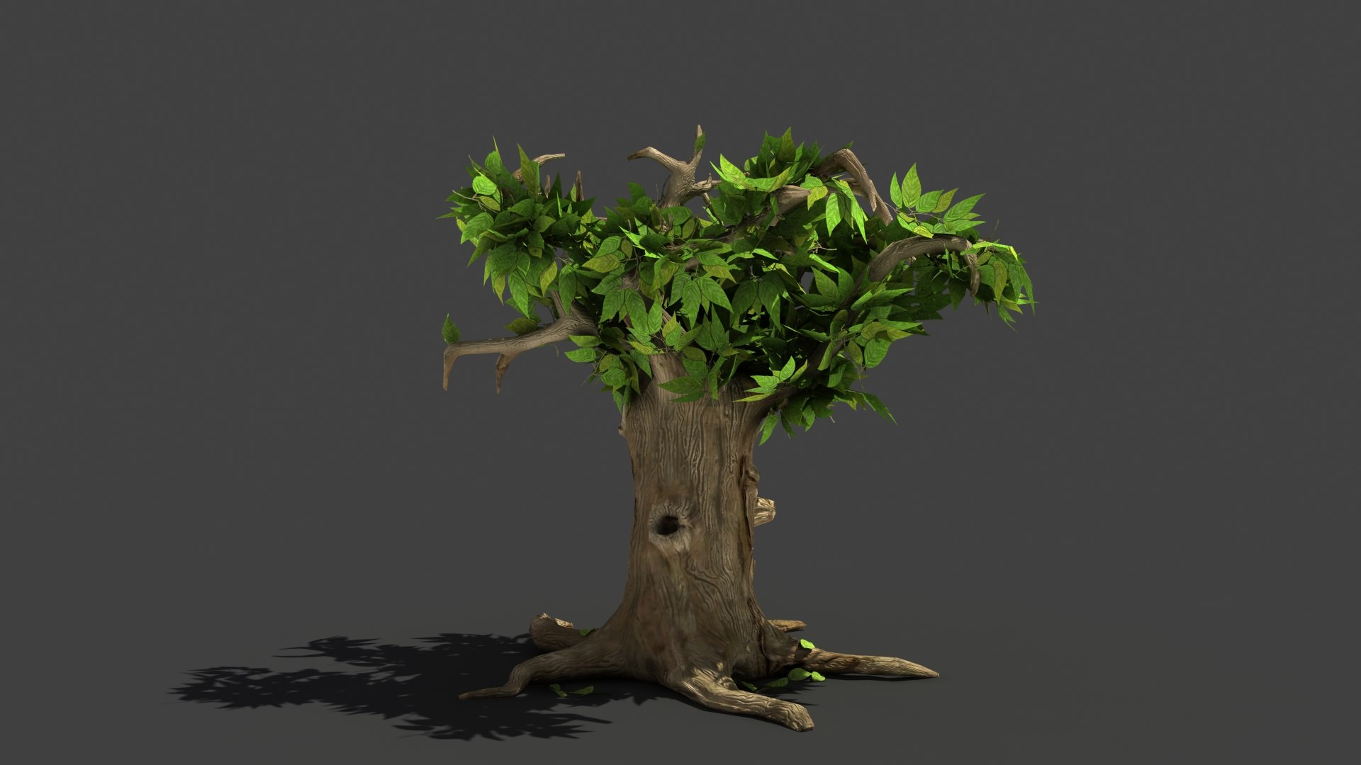 3d Enchanted Tree Model