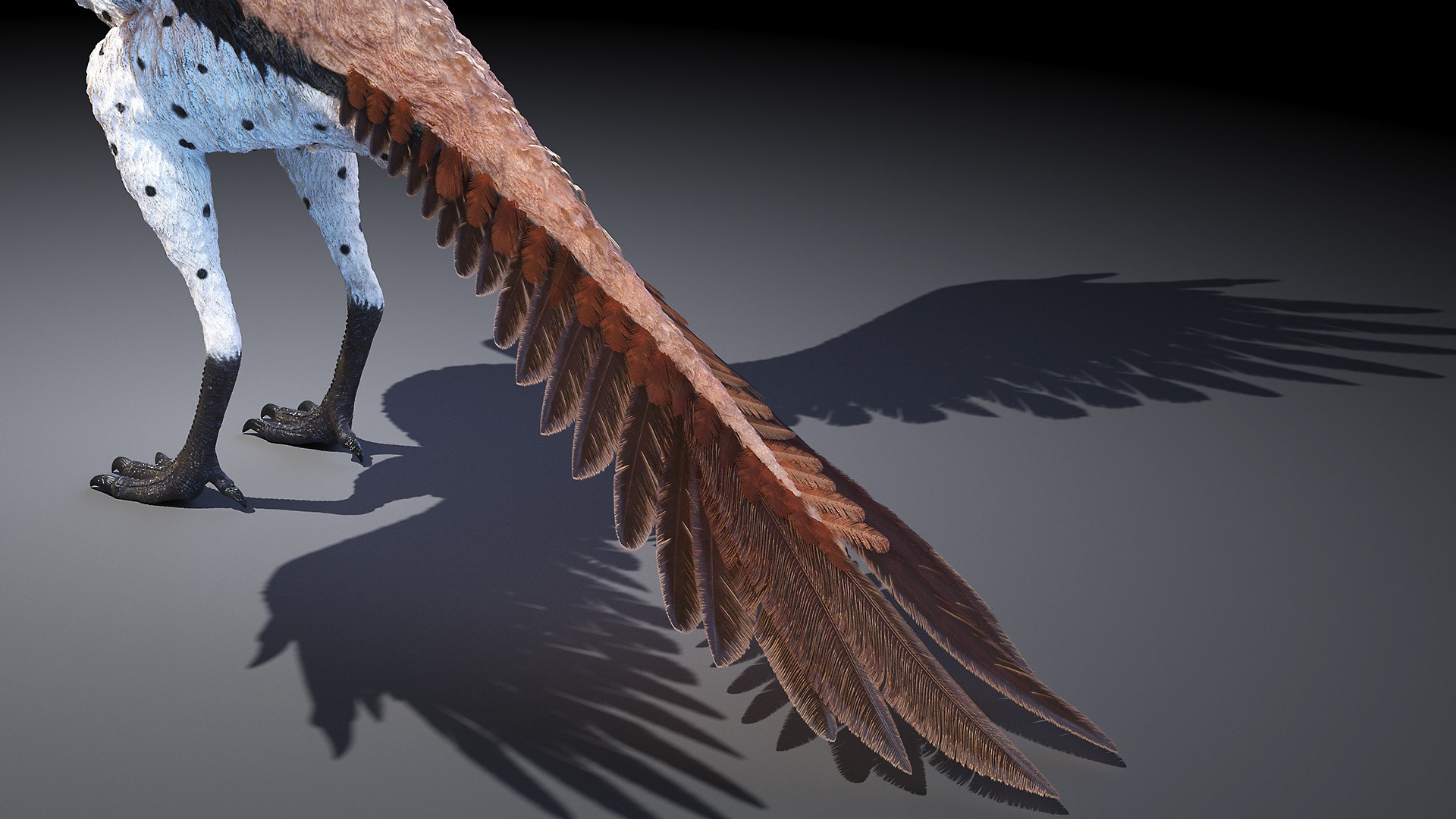 Archaeopteryx 3D - TurboSquid 1634579