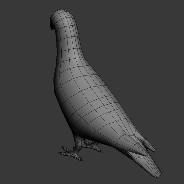 3d max pigeon modeled