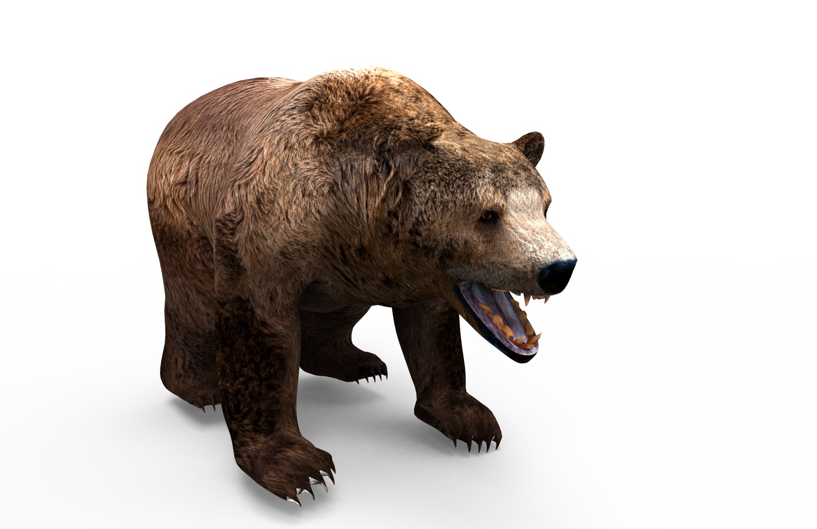 Bear rigged 3D model - TurboSquid 1254559