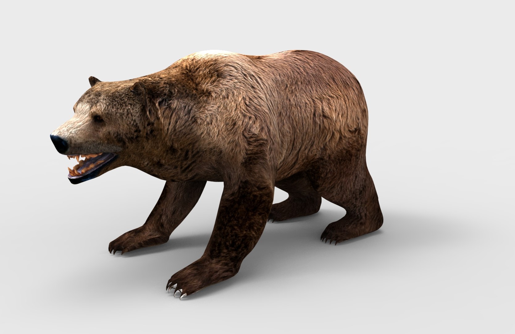 Bear rigged 3D model - TurboSquid 1254559