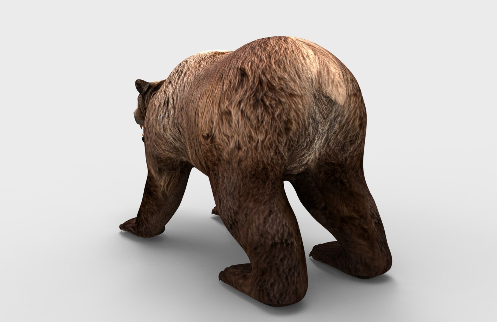Bear rigged 3D model - TurboSquid 1254559