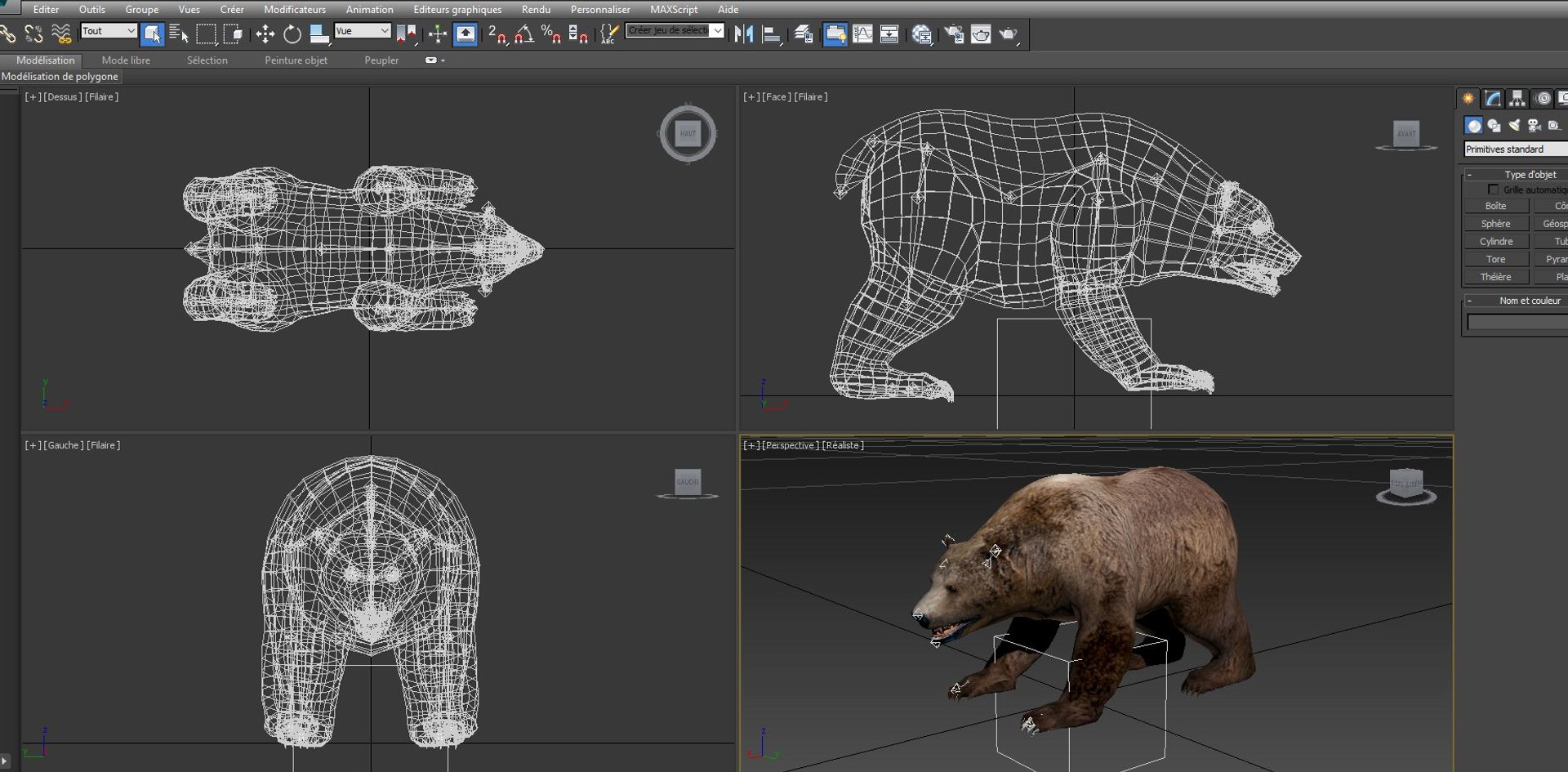 Bear rigged 3D model - TurboSquid 1254559
