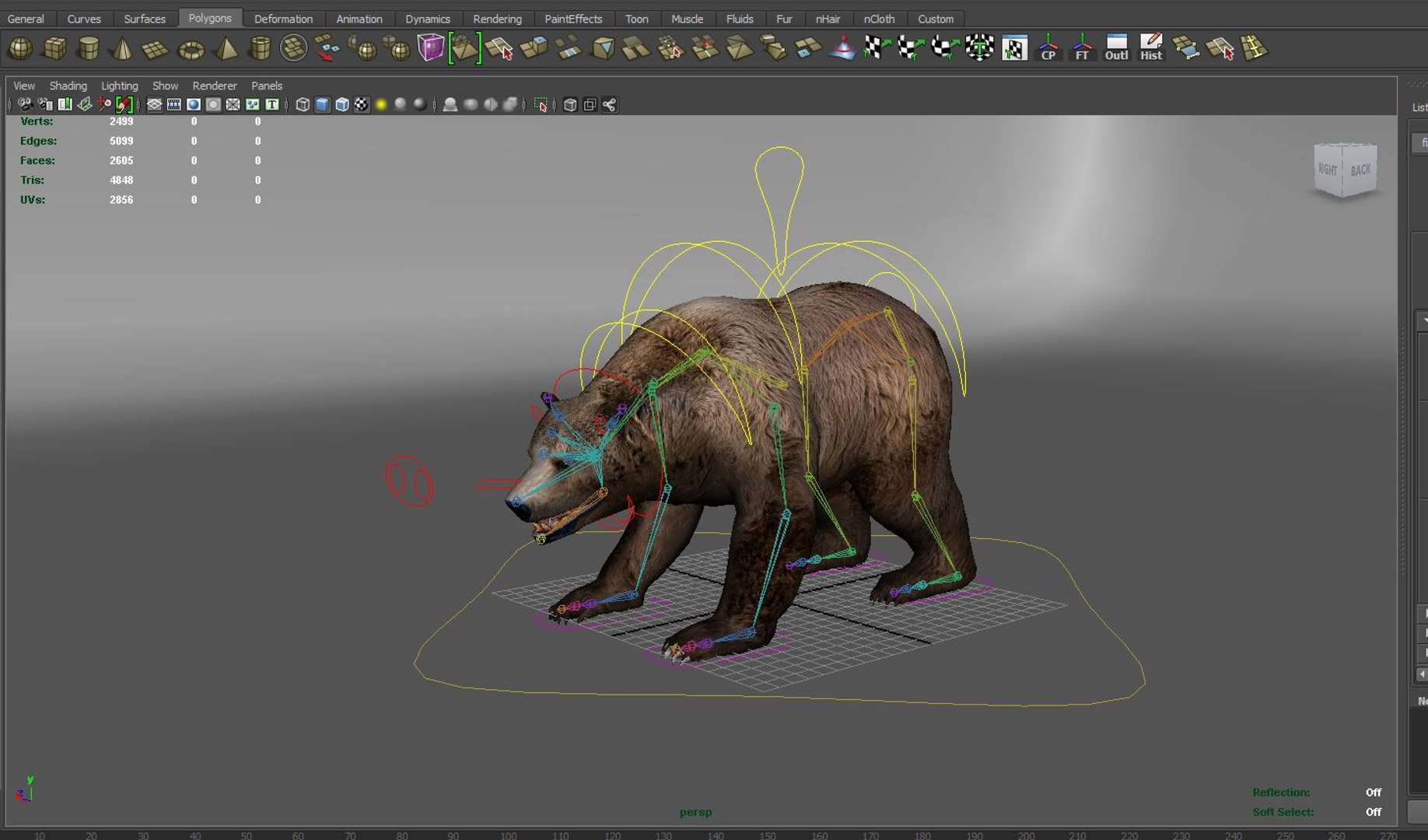 Bear rigged 3D model - TurboSquid 1254559