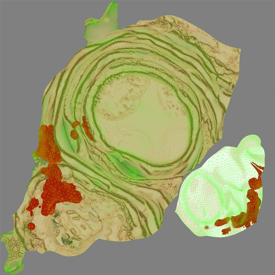 3D Pan Cake Pancake Model - TurboSquid 1297528