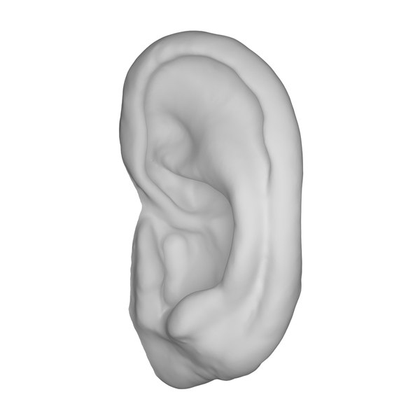 Ear 3D Models for Download | TurboSquid