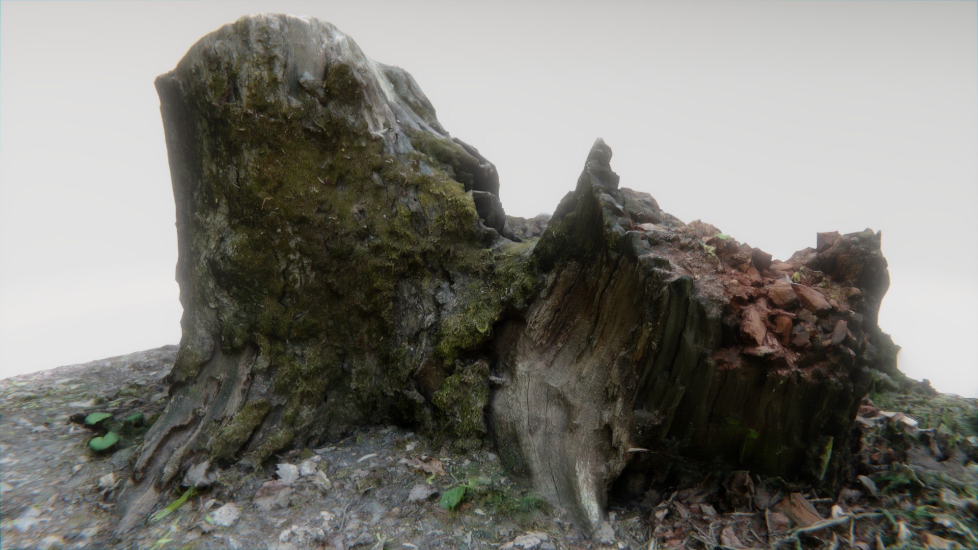 3D Old Rotten Stump - TurboSquid 1467521