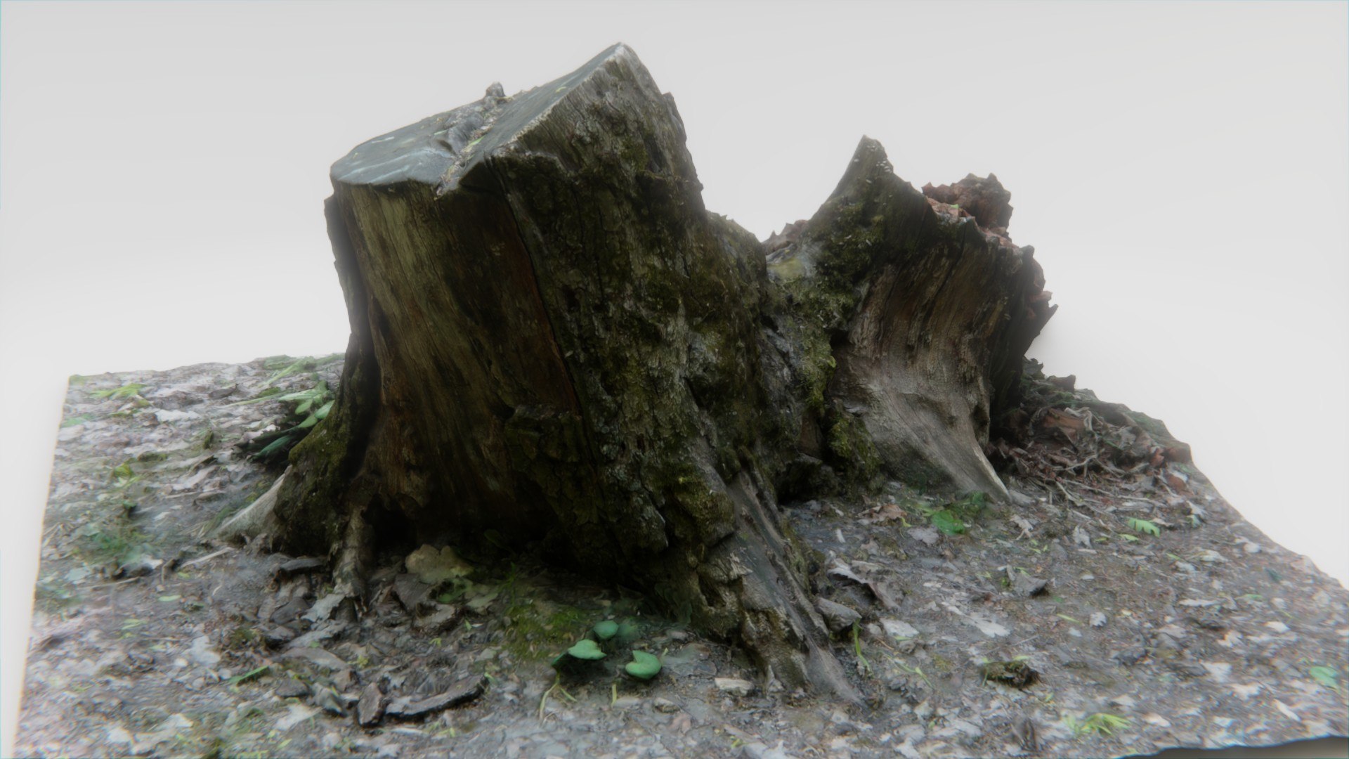 3D Old Rotten Stump - TurboSquid 1467521