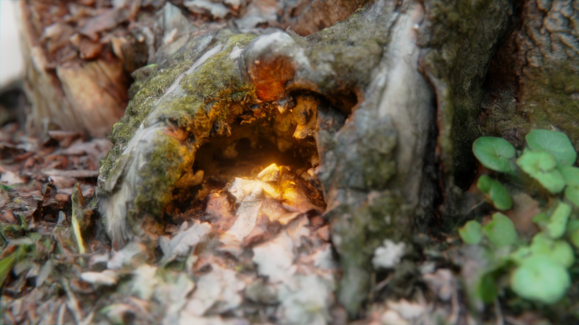 3D Old Rotten Stump - TurboSquid 1467521