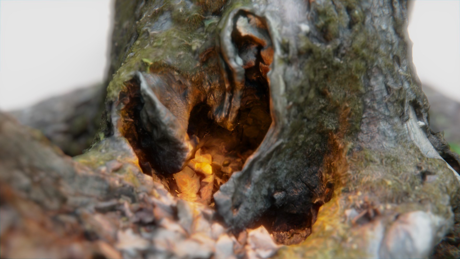 3D Old Rotten Stump - TurboSquid 1467521