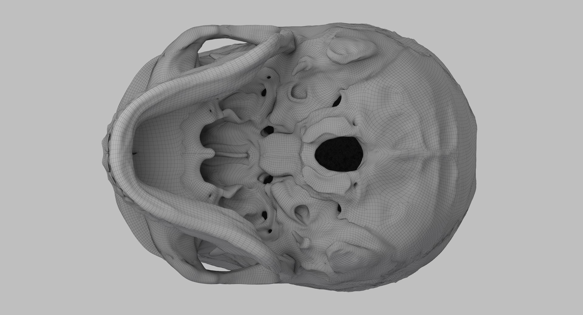 3D model human skull 22 bones anatomy - TurboSquid 1158032