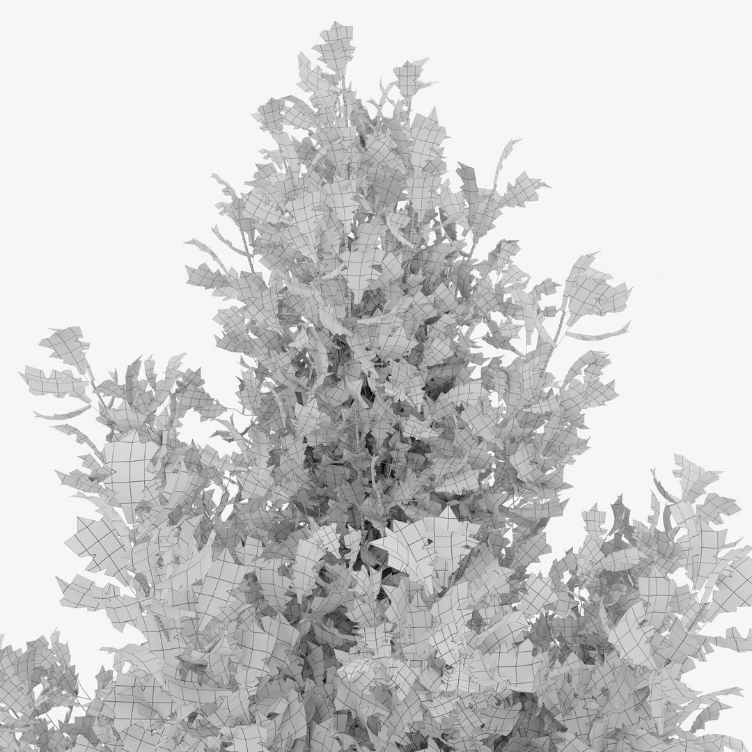 Pine Oak Tree 3D - TurboSquid 2044060