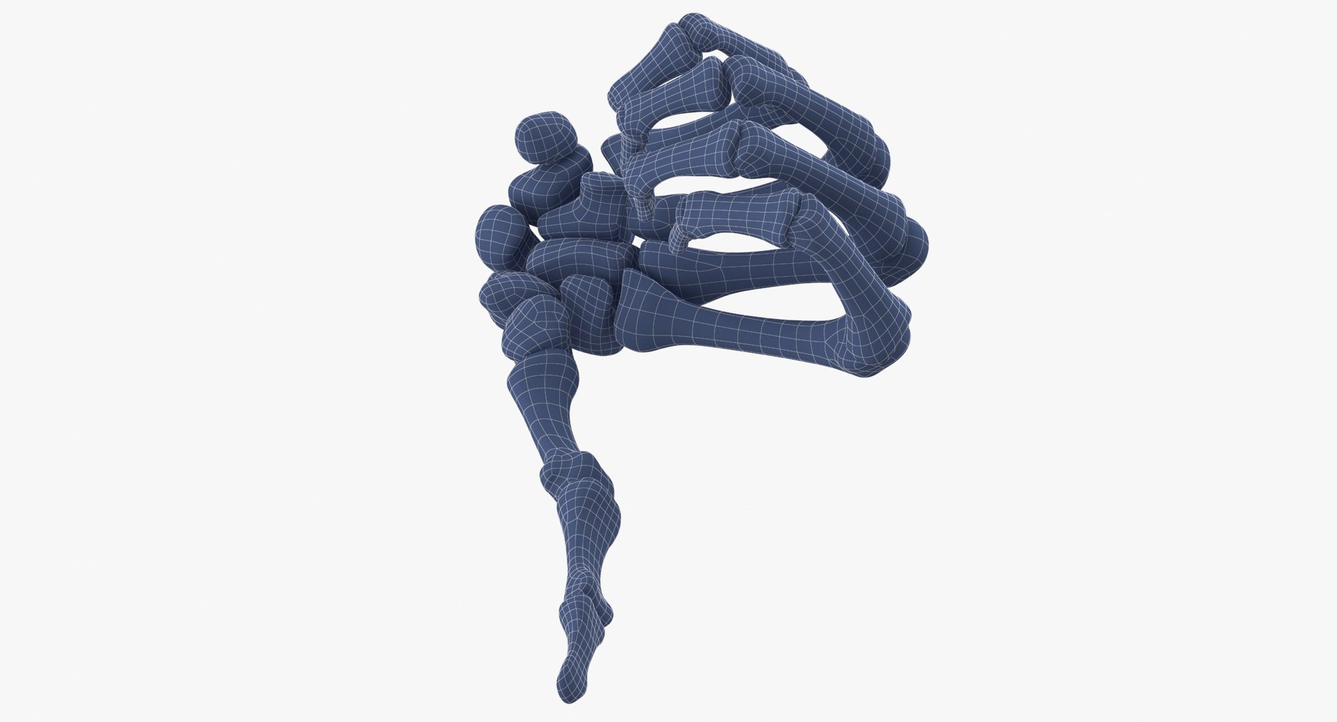 Real Human Hand Bones 3D Model - TurboSquid 1614332