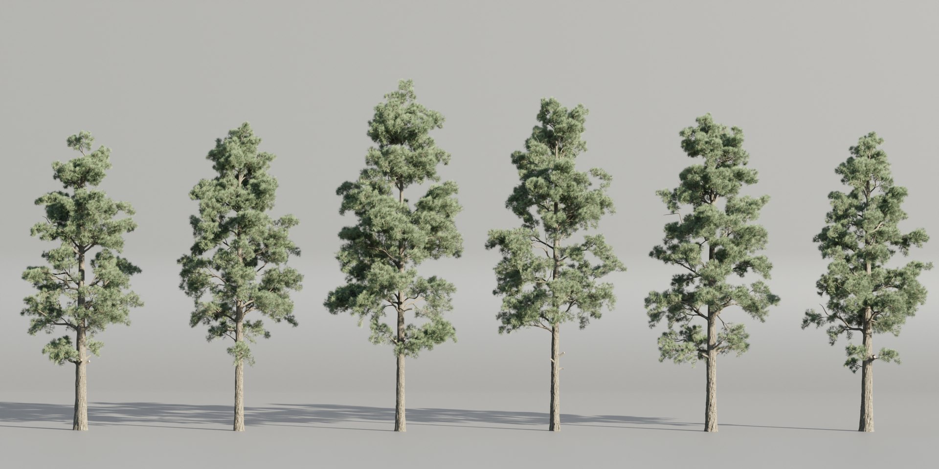 3D Pine Trees Collection Vol 245-Blender-3dmodel - TurboSquid 2214357