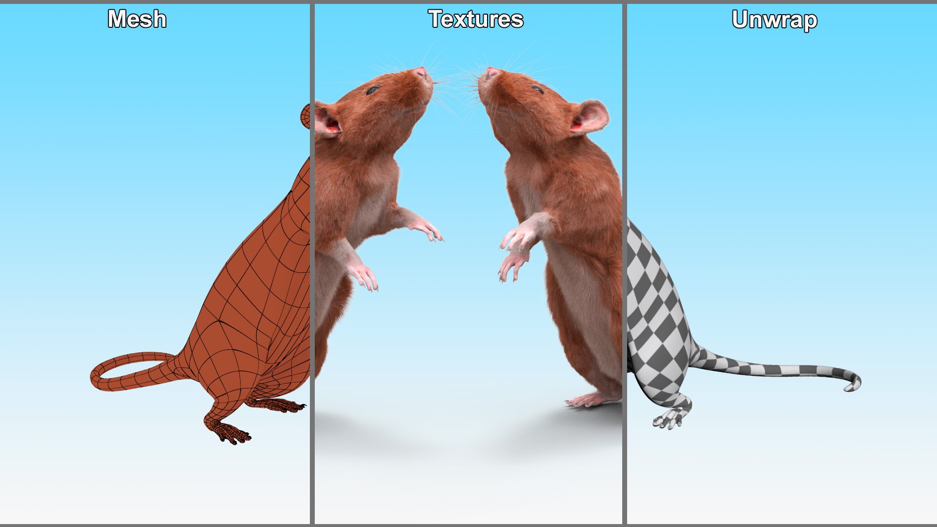 3D Realistic Lifelike Rodent Rat Standing - TurboSquid 2267788