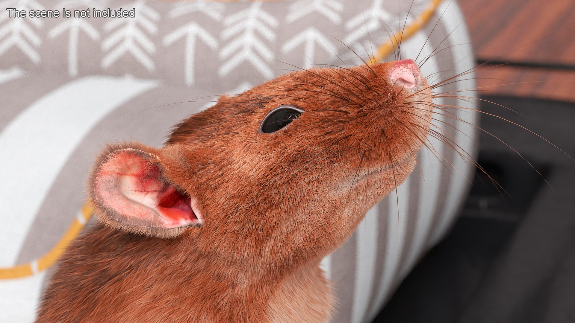 3D Realistic Lifelike Rodent Rat Standing - TurboSquid 2267788