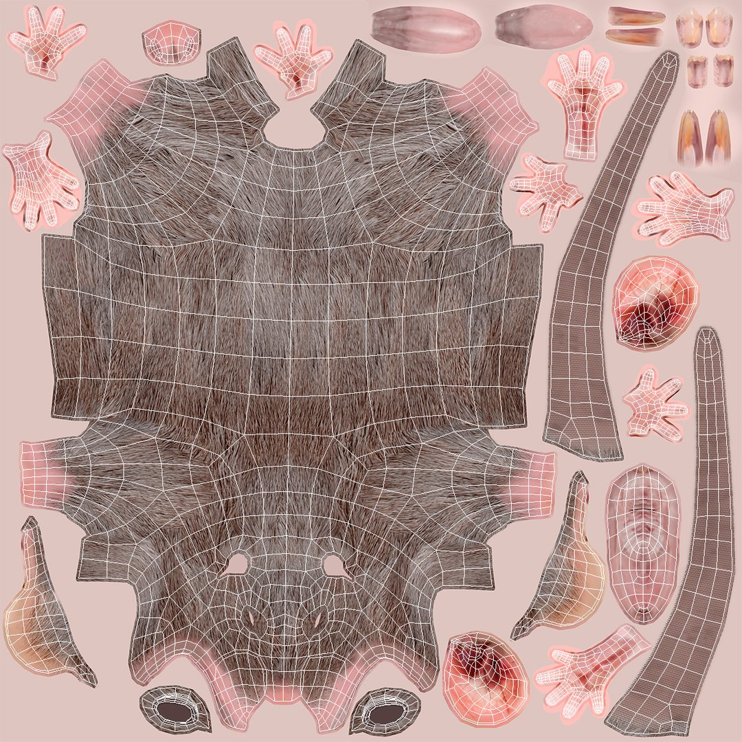 3D Realistic Lifelike Rodent Rat Standing - TurboSquid 2267788