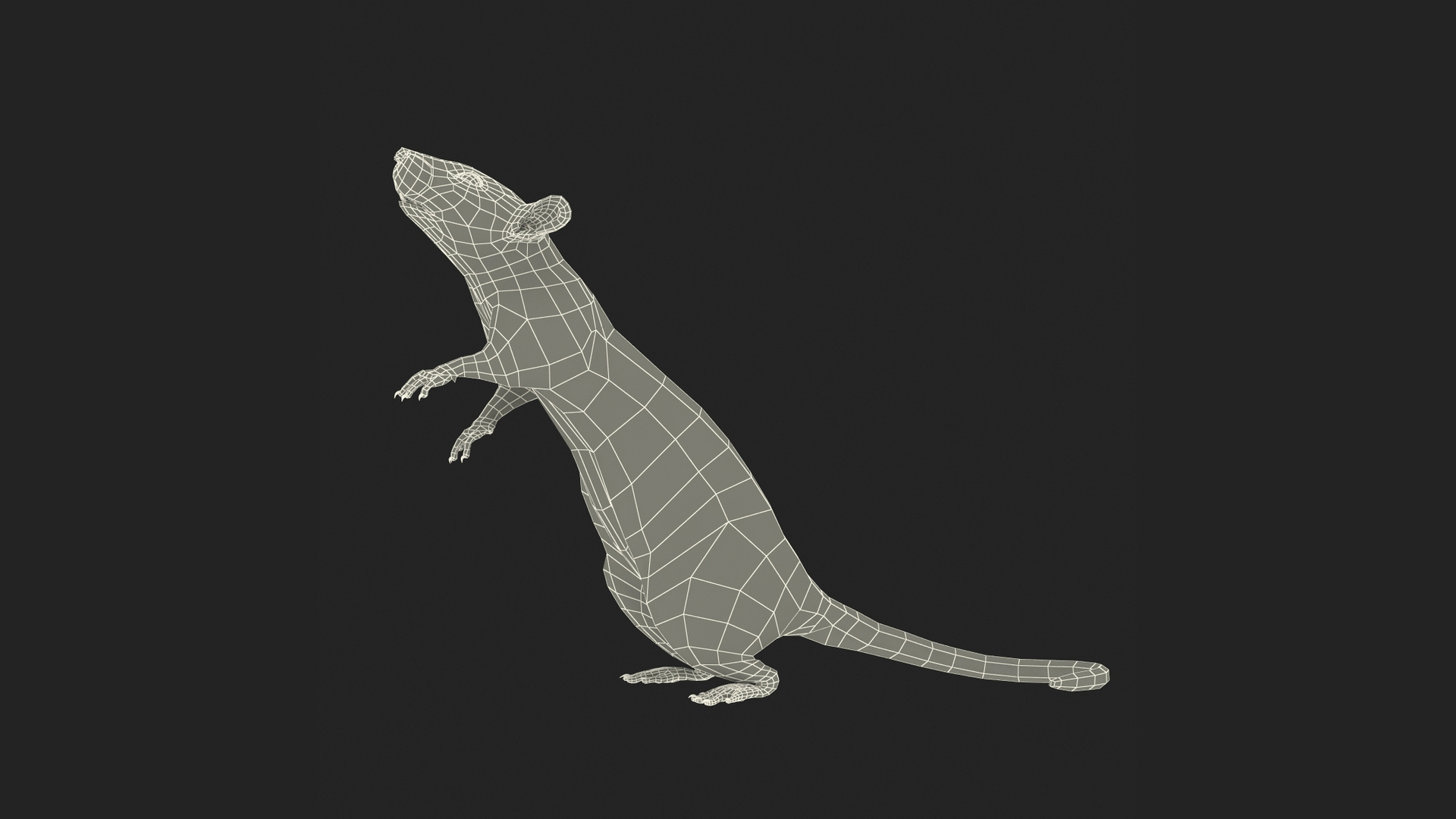 3D Realistic Lifelike Rodent Rat Standing - TurboSquid 2267788